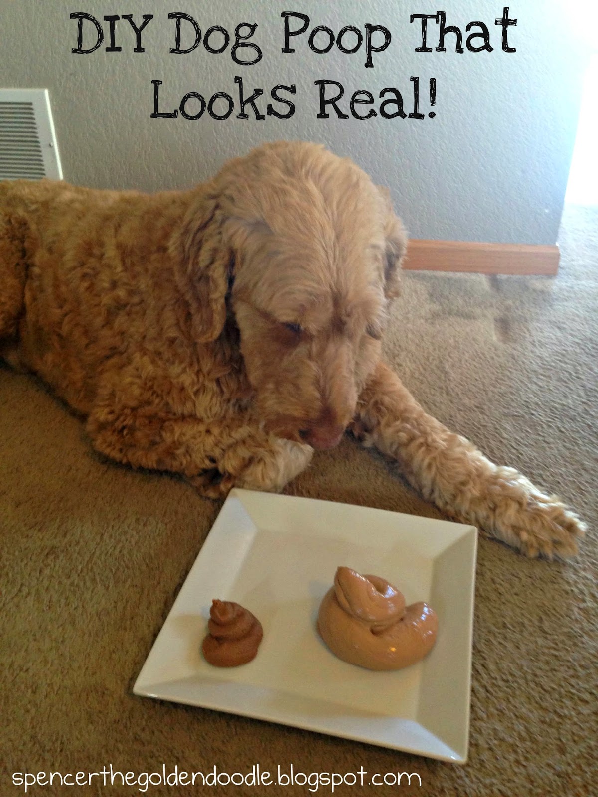 Spencer the Goldendoodle: April Fools Day Prank: DIY Dog Poop